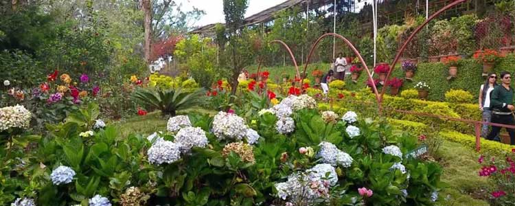 Blossom Park - Munnar - Kerala