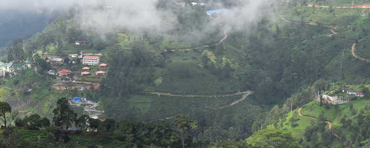 Pothamedu Viewpoint - Kerala